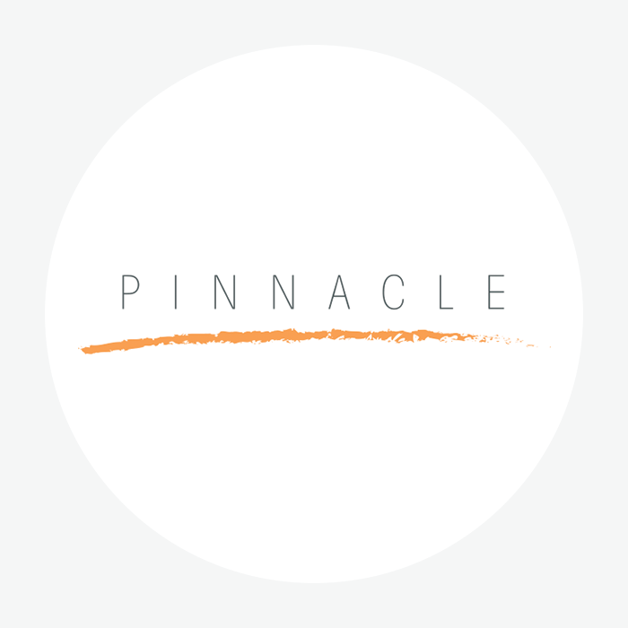 Partners | Customer Success | Protean Software